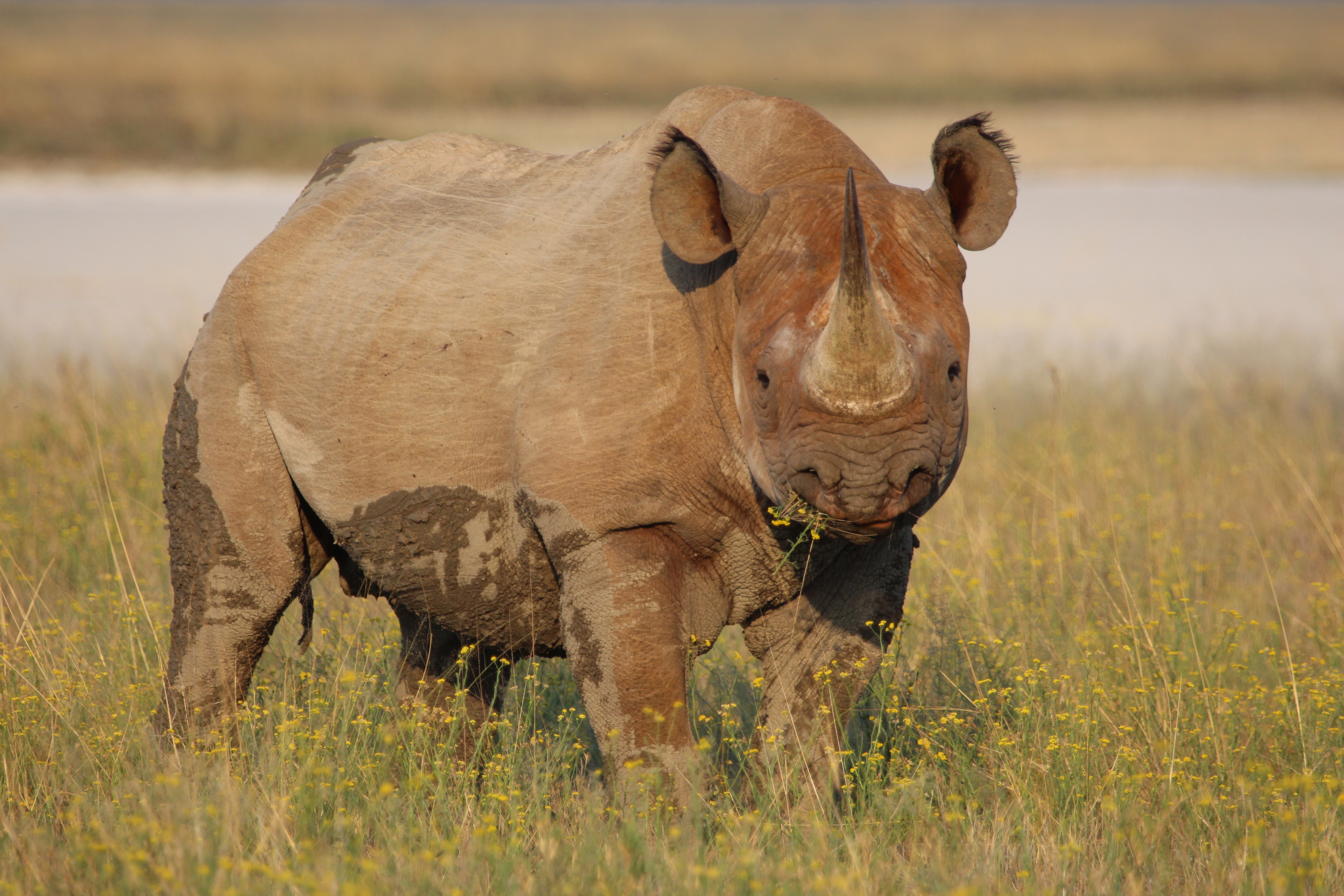 Ultimate Namibia - Nature Travel Namibia