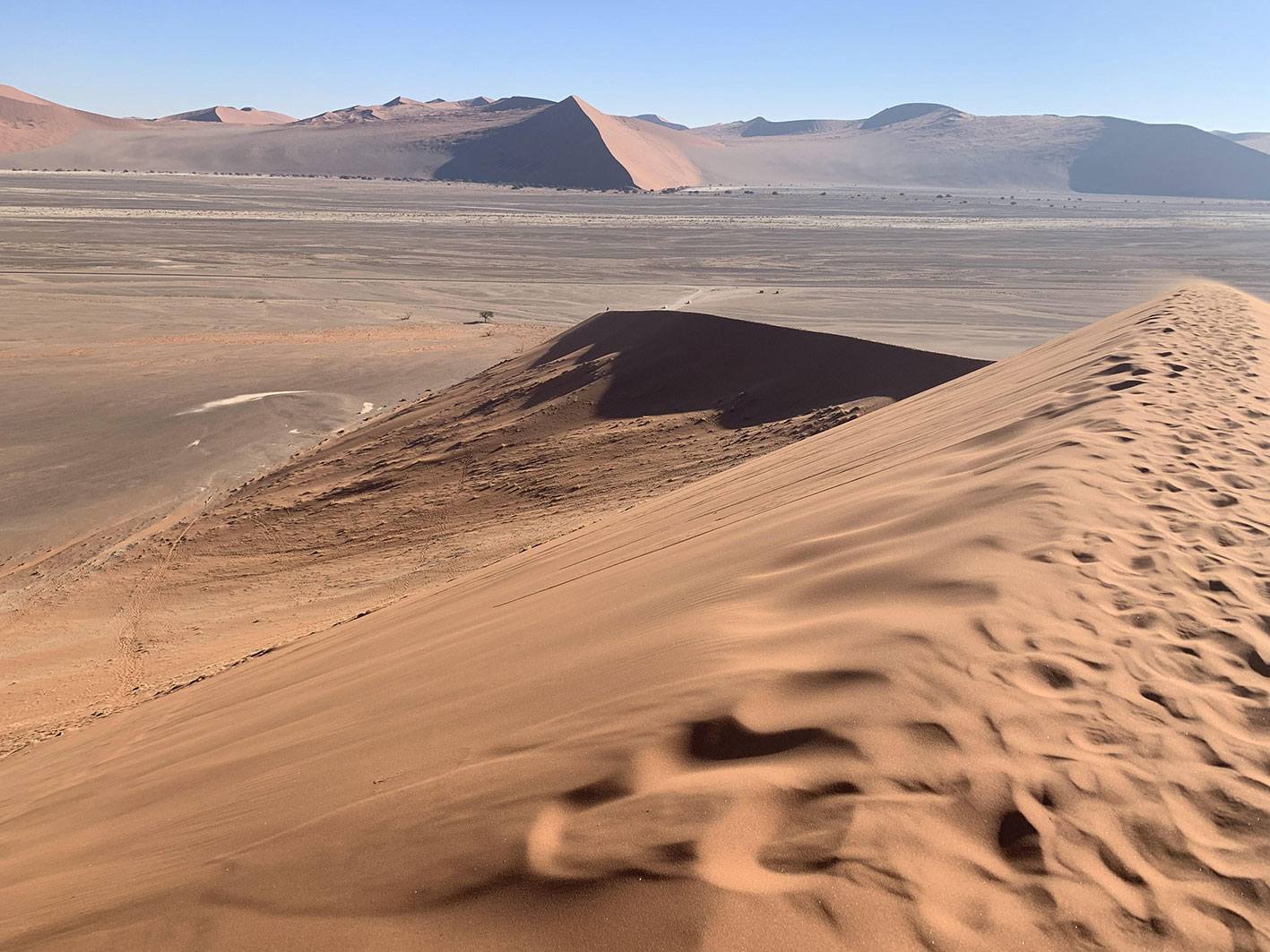 Namibia Conservation Safari- Bucket List experience