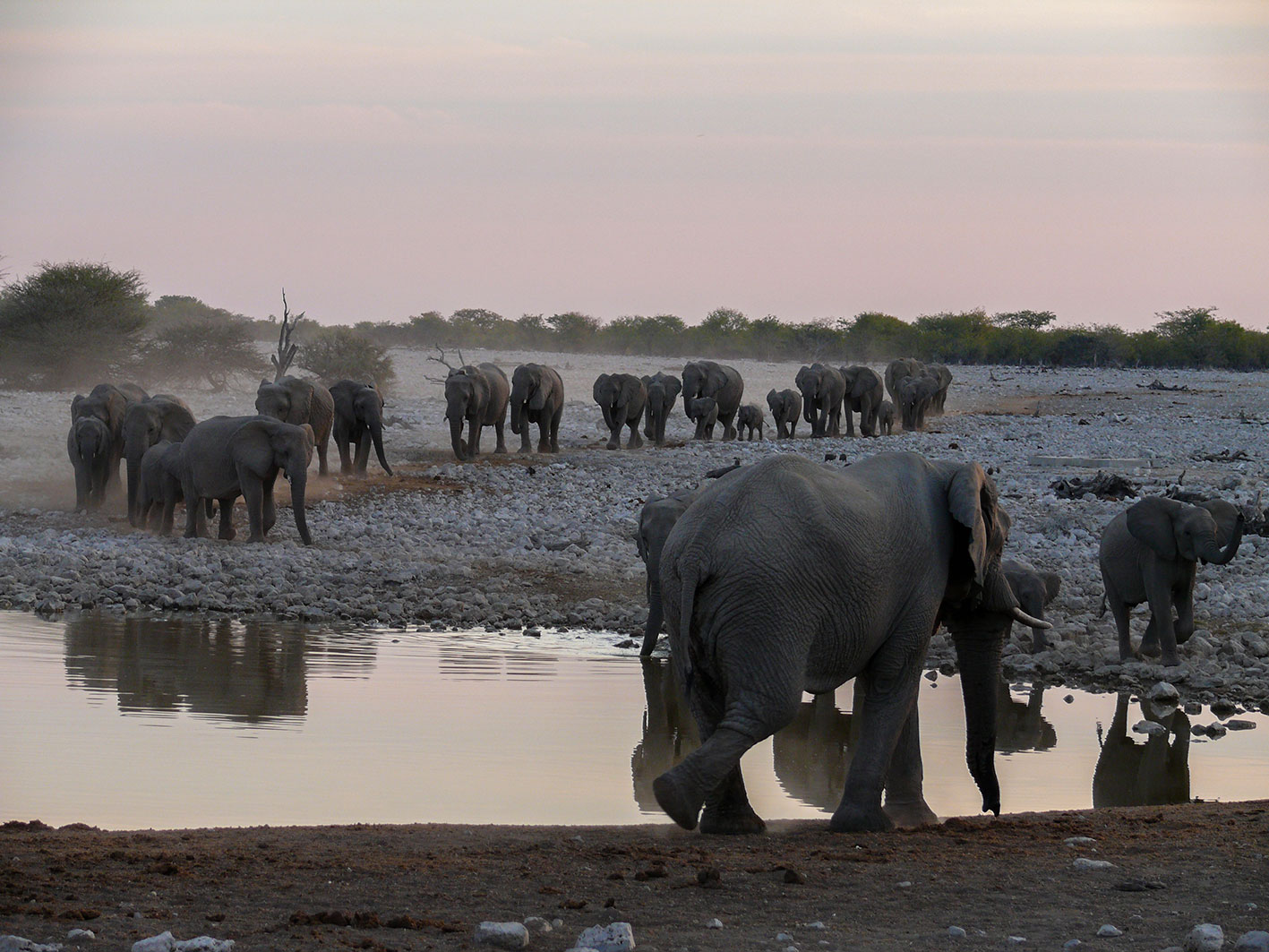 Classic Namibia Safari Experience with Nature Travel Namibia