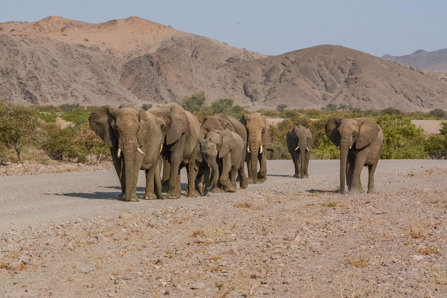 Namibia Country Info - Nature Travel Namibia