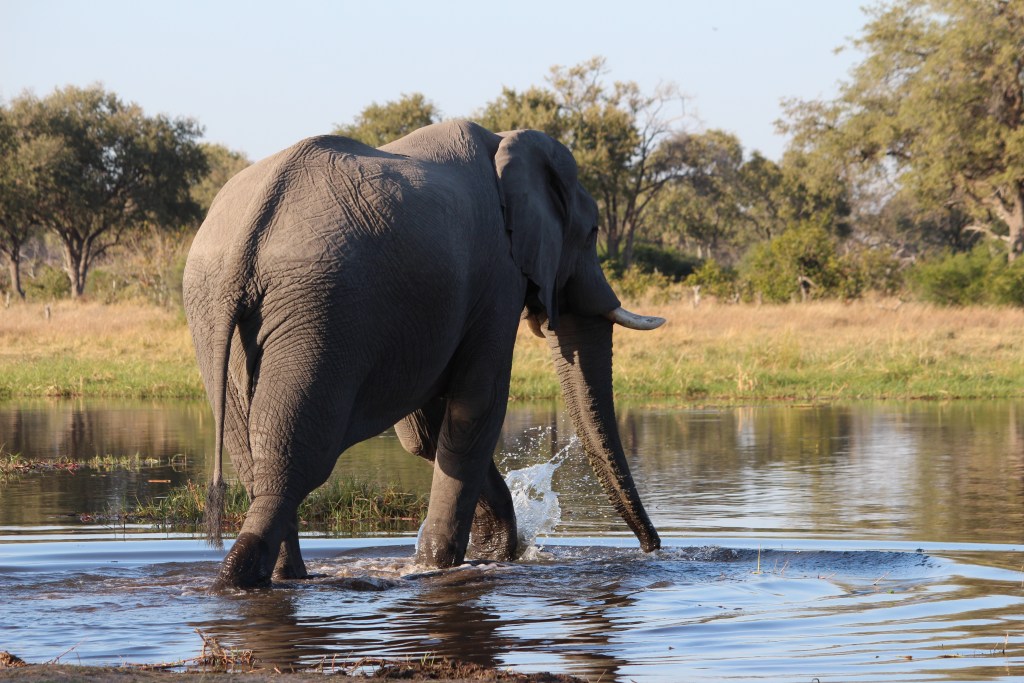 Okavango Delta - Nature Travel Namibia