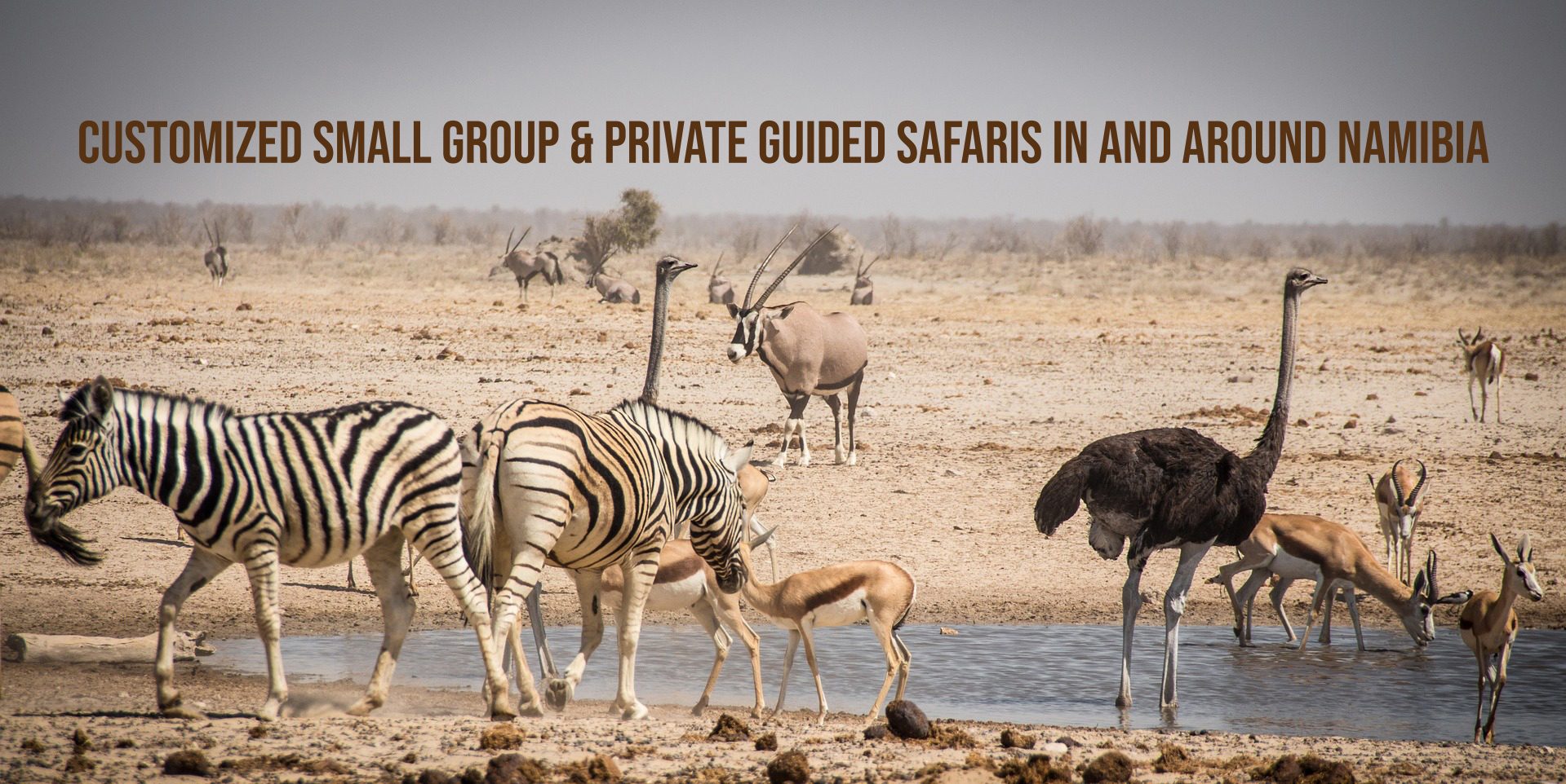 Conservation Safaris - Nature Travel Namibia