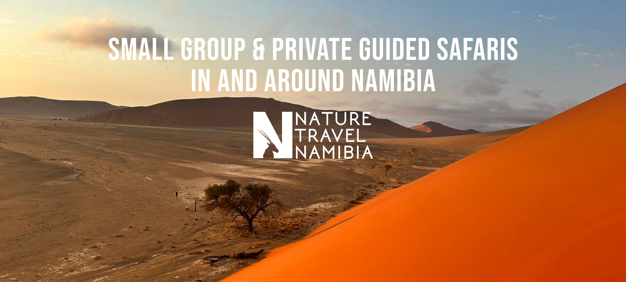 Namibia Conservation: The Cheetah - Nature Travel Namibia